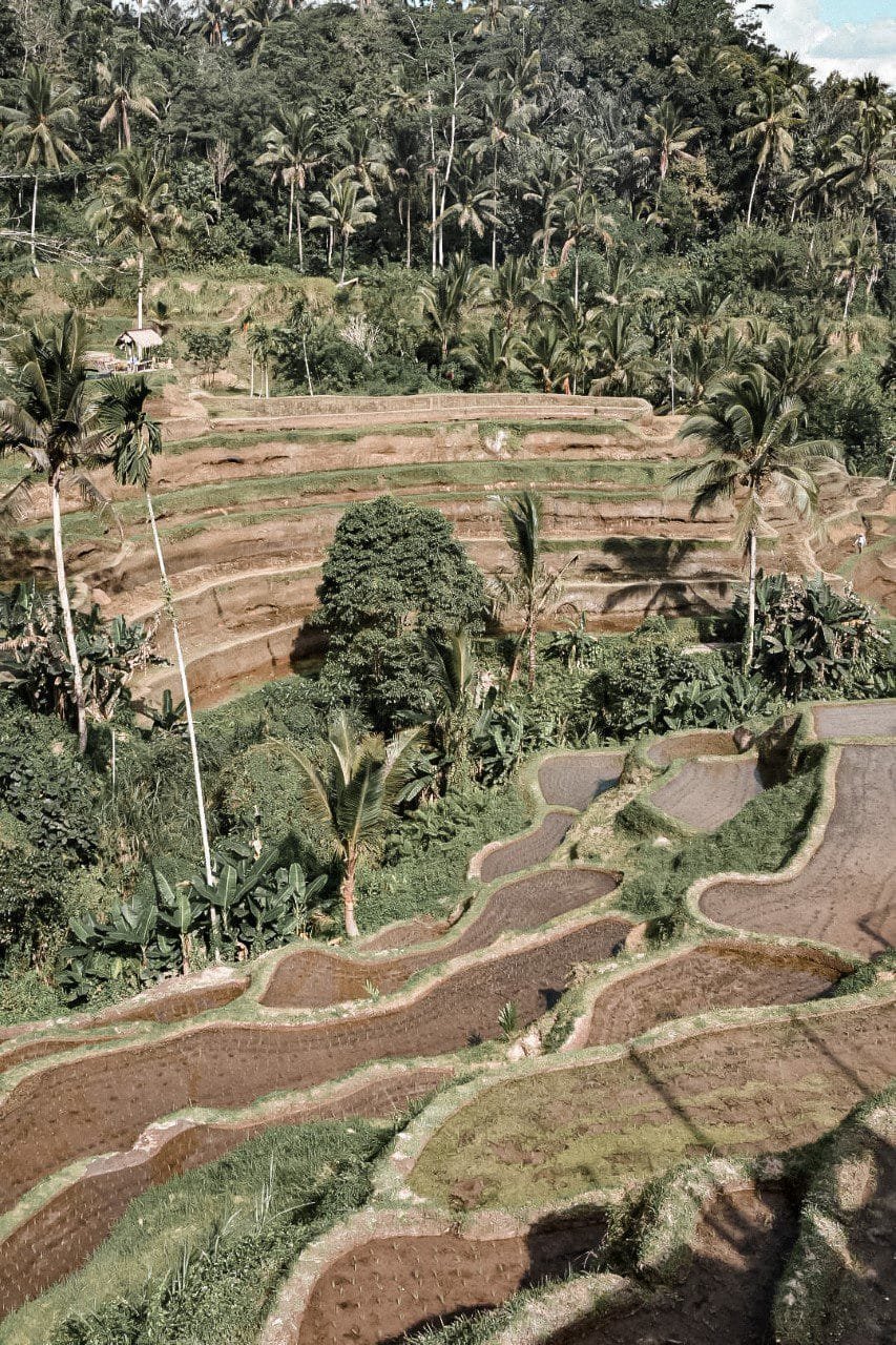 Que faire à Bali en 2 semaines ? Le guide complet ! - MON BLOG VOYAGE